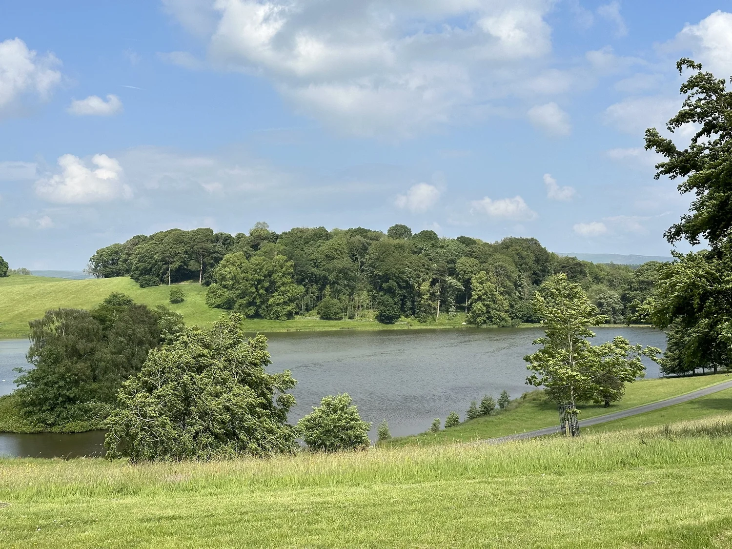 features — EMMA GUNS