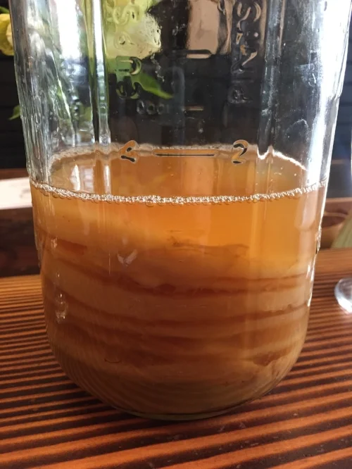 7 Amazing Health Benefits of Kombucha: and an Interview with a Brewer ...