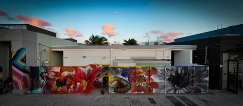 Noé Barnett - Artist