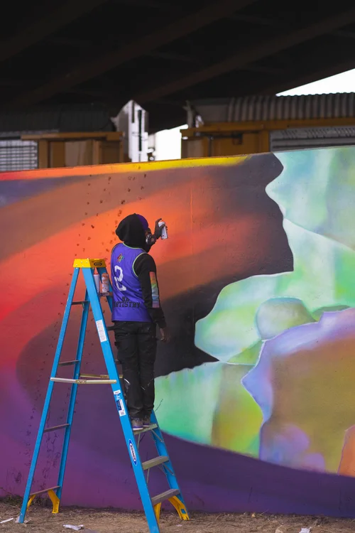 Noé Barnett - Artist