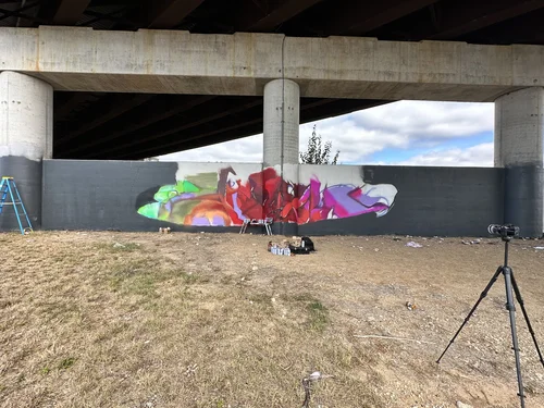 Noé Barnett - Artist