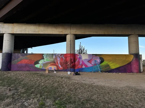 Noé Barnett - Artist