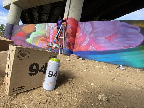 Noé Barnett - Artist