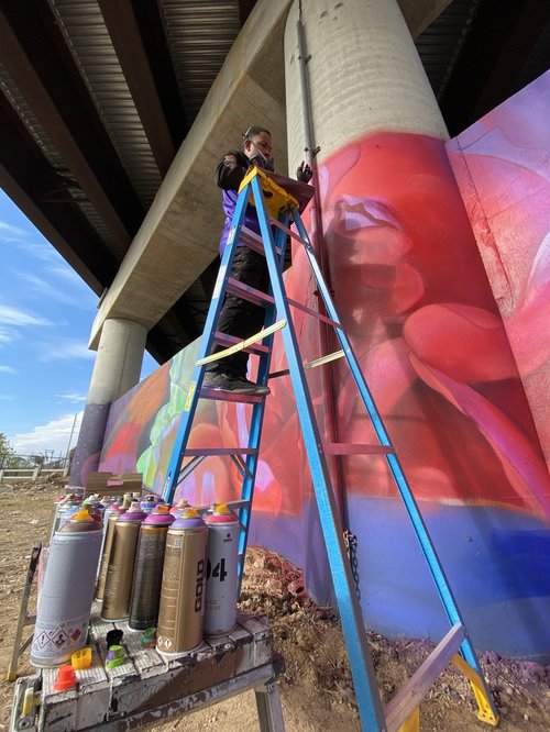 Noé Barnett - Artist
