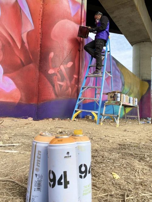Noé Barnett - Artist