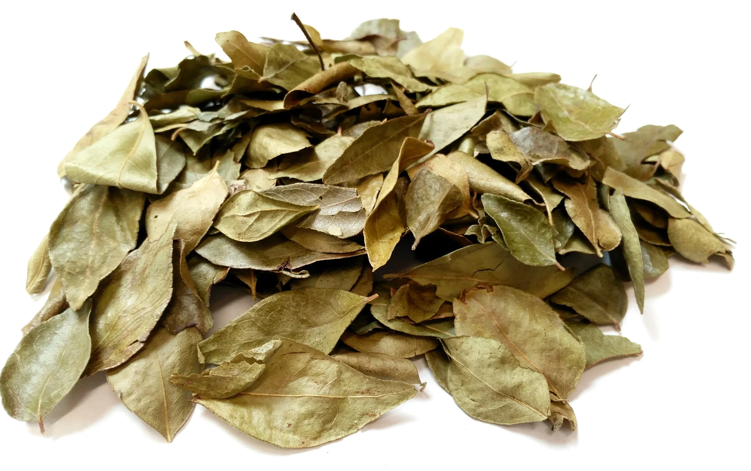 Curry Leaves Whole Speedrange Spices Health Supplements curry-leaves-whole-speedrange-spices-health-supplements
