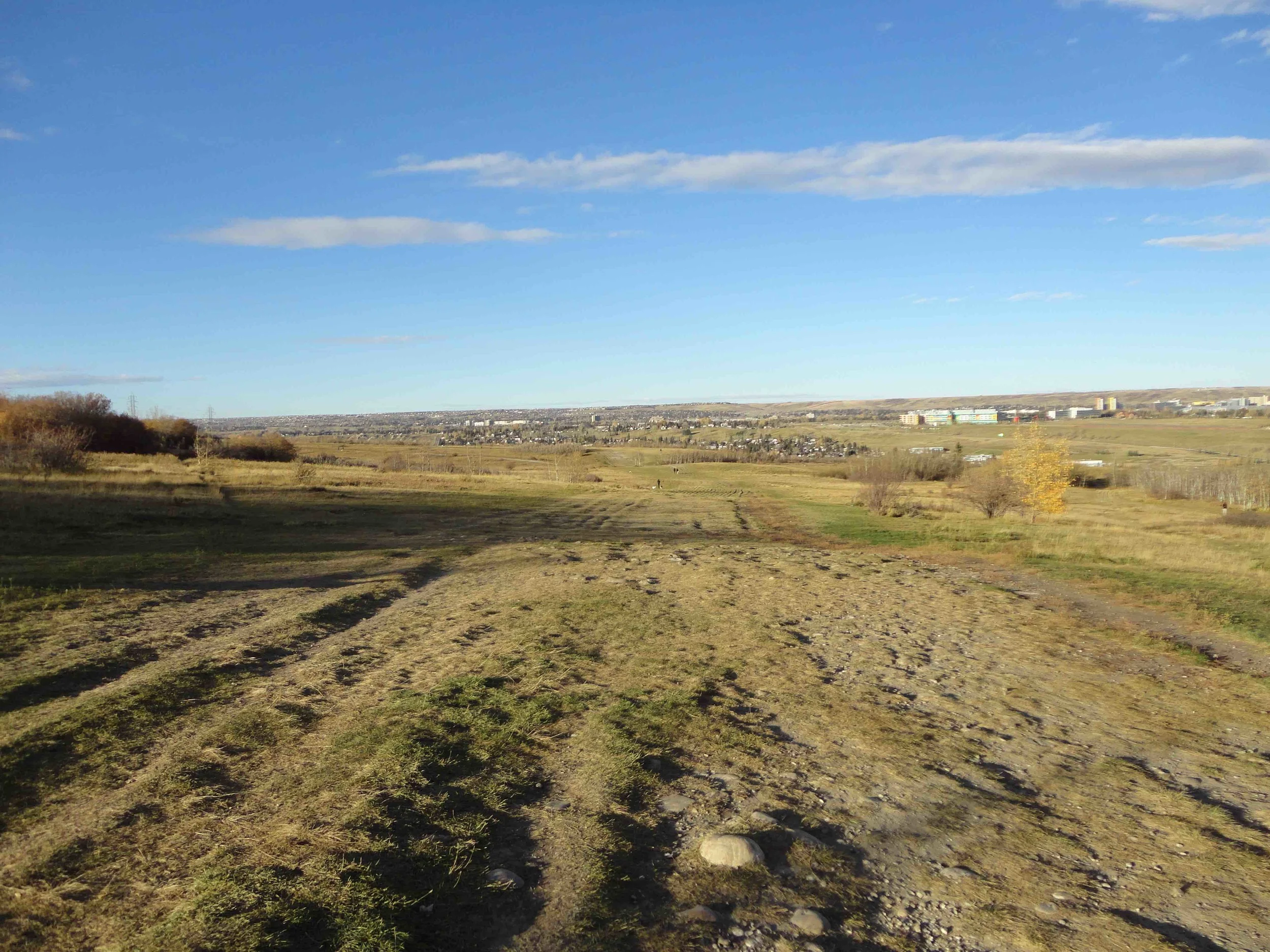 Edworthy Park — Calgary Canine