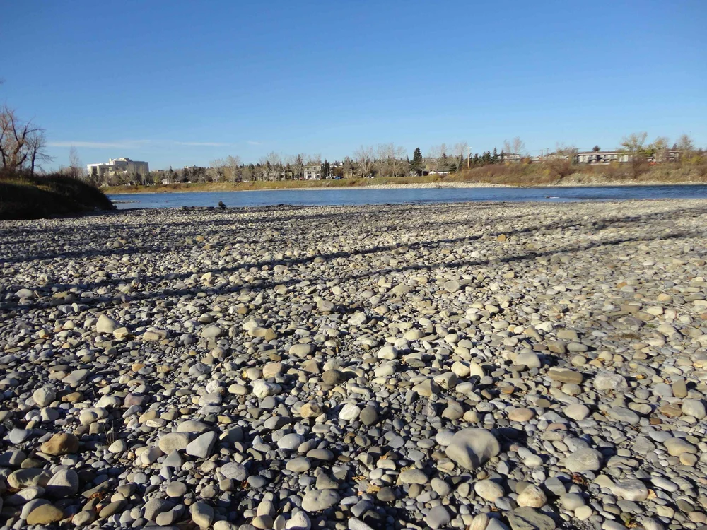 Edworthy Park — Calgary Canine