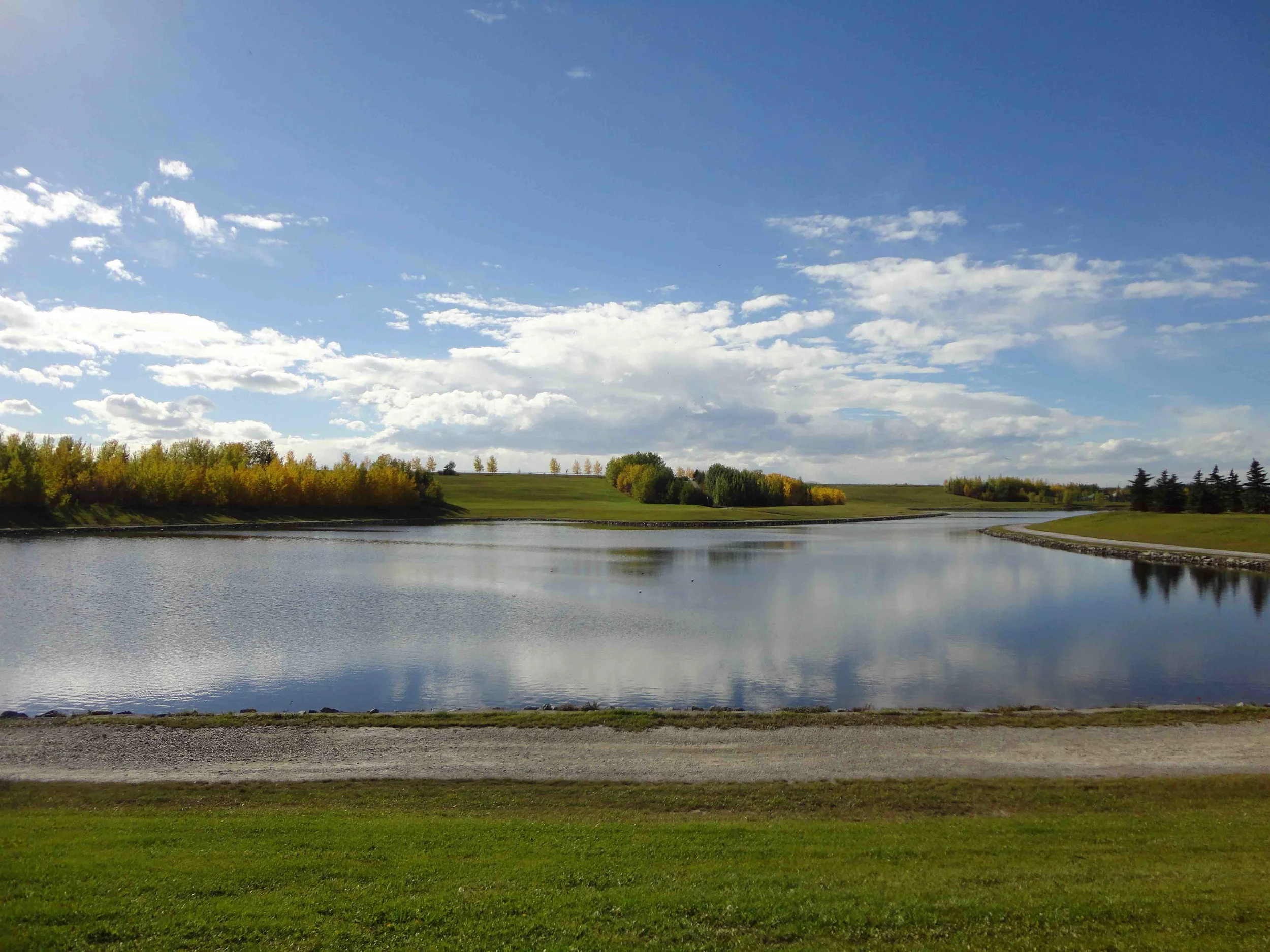 Elliston Park — Calgary Canine