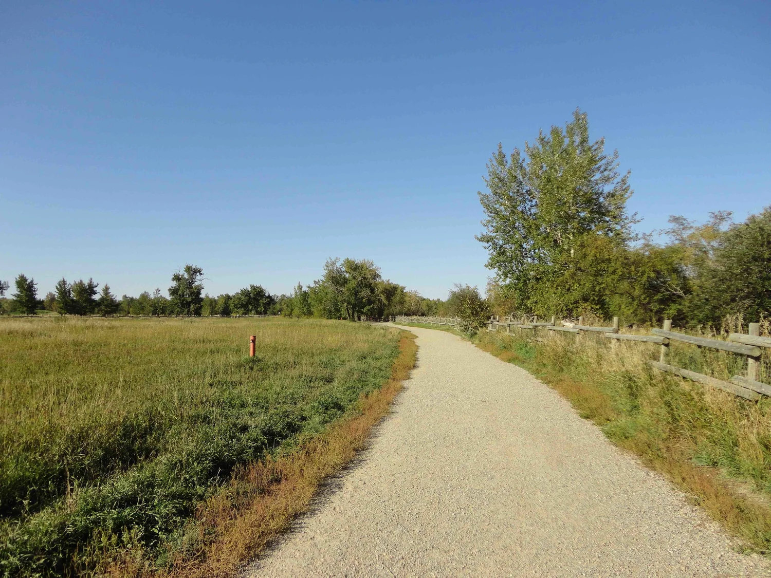 Sue Higgins Park — Calgary Canine