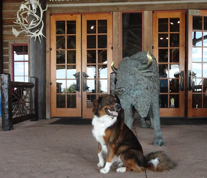 Bass Pro Shops — Calgary Canine