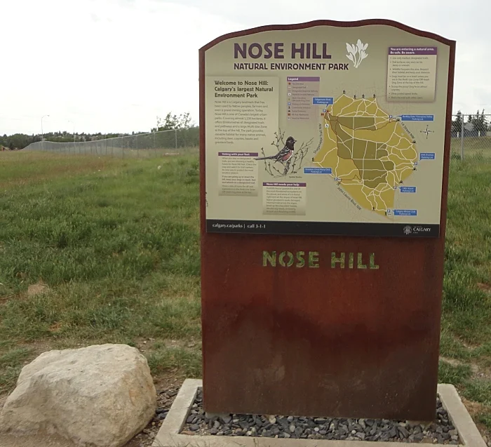 Nose Hill Park — Calgary Canine