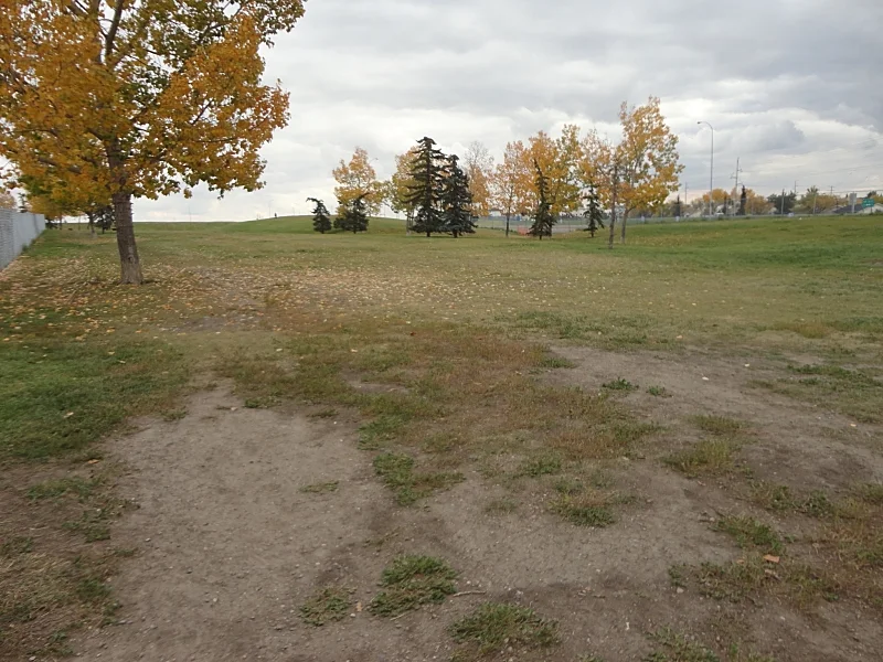 Falconridge — Calgary Canine