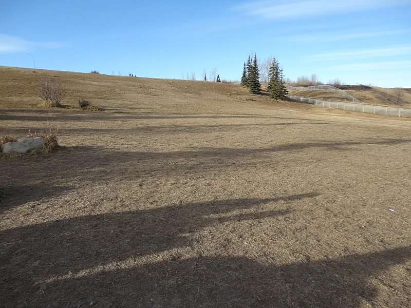 Confluence Park — Calgary Canine