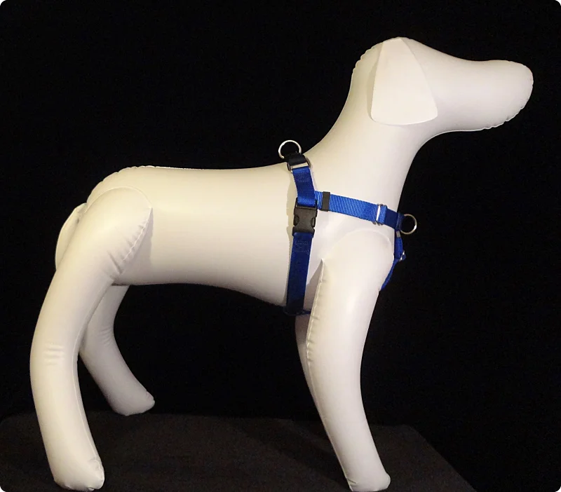 Harness Review — Calgary Canine