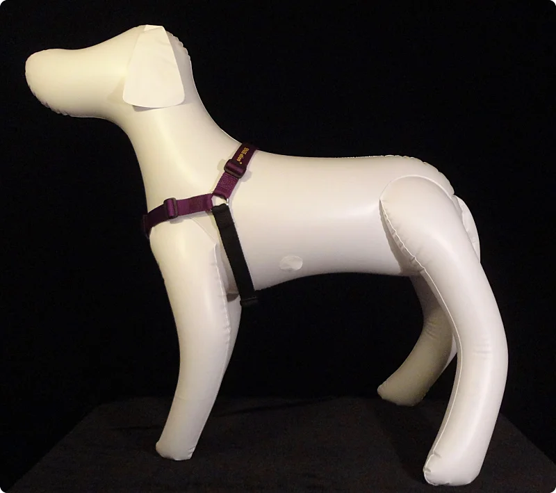 Harness Review — Calgary Canine