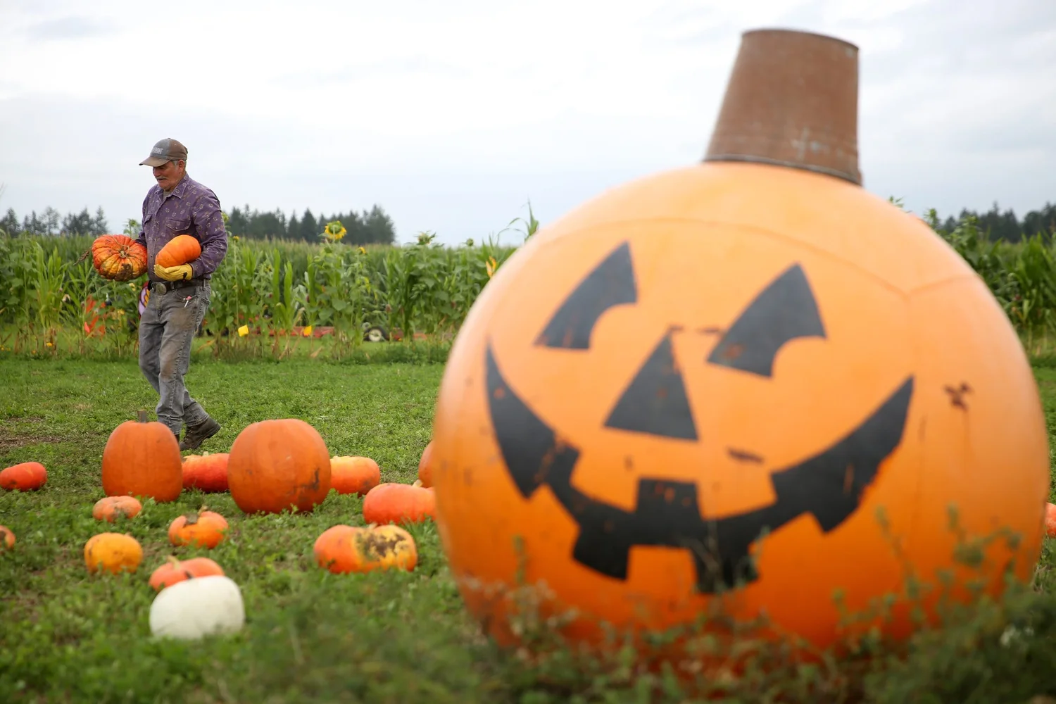 October is Harvestfest Month | E.Z. Orchards Salem, Oregon — E.Z. Orchards