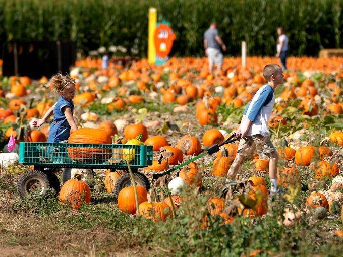 October is Harvestfest Month | E.Z. Orchards Salem, Oregon — E.Z. Orchards