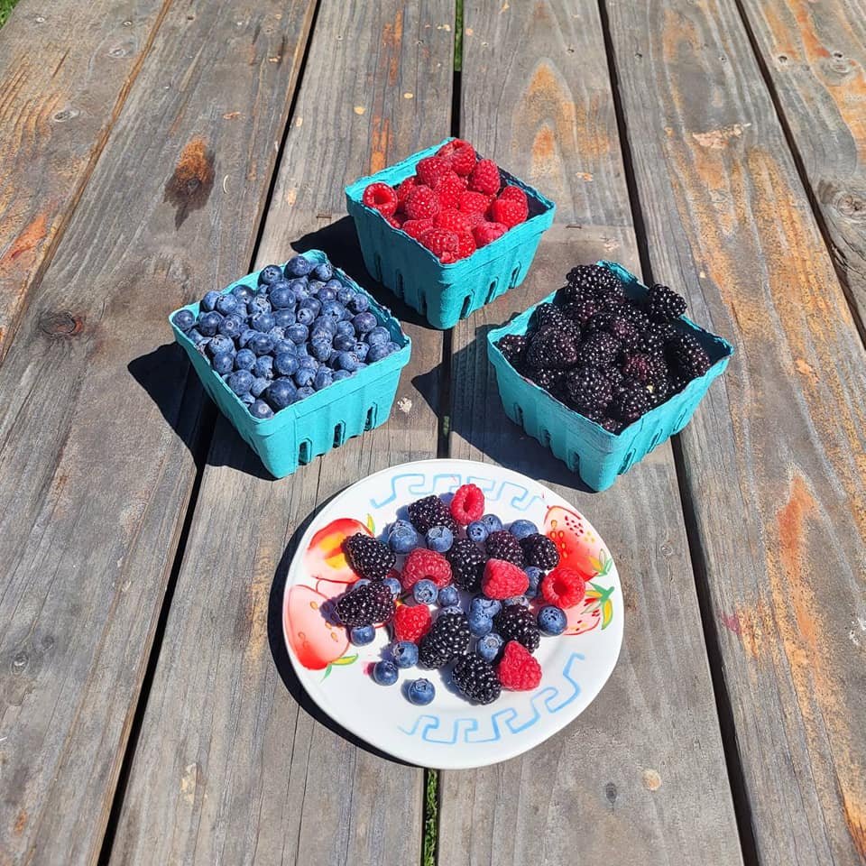 Fresh Farm Market In Salem Oregon | E.Z. Orchards — E.Z. Orchards