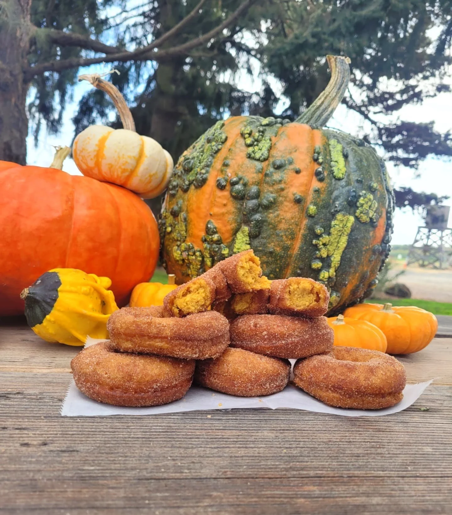 Fresh Farm Market In Salem Oregon | E.Z. Orchards — E.Z. Orchards