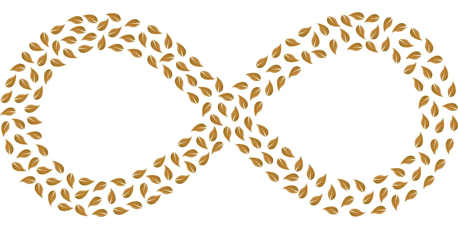 Infinity Symbol: The Shape of Harmony — The Healing House of Saint Paul