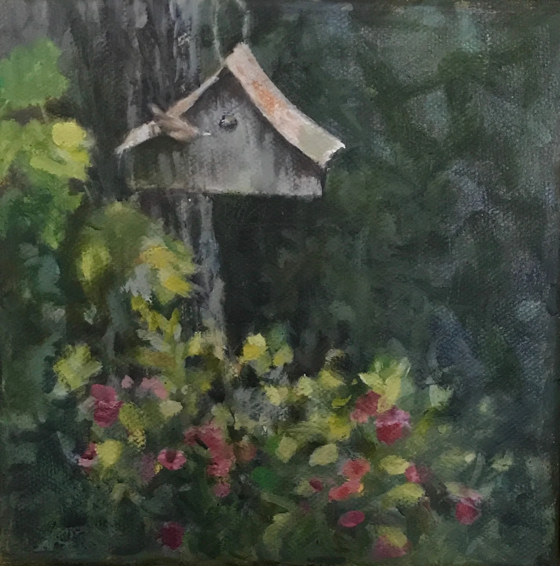 Shop — Carolyn Heffelfinger