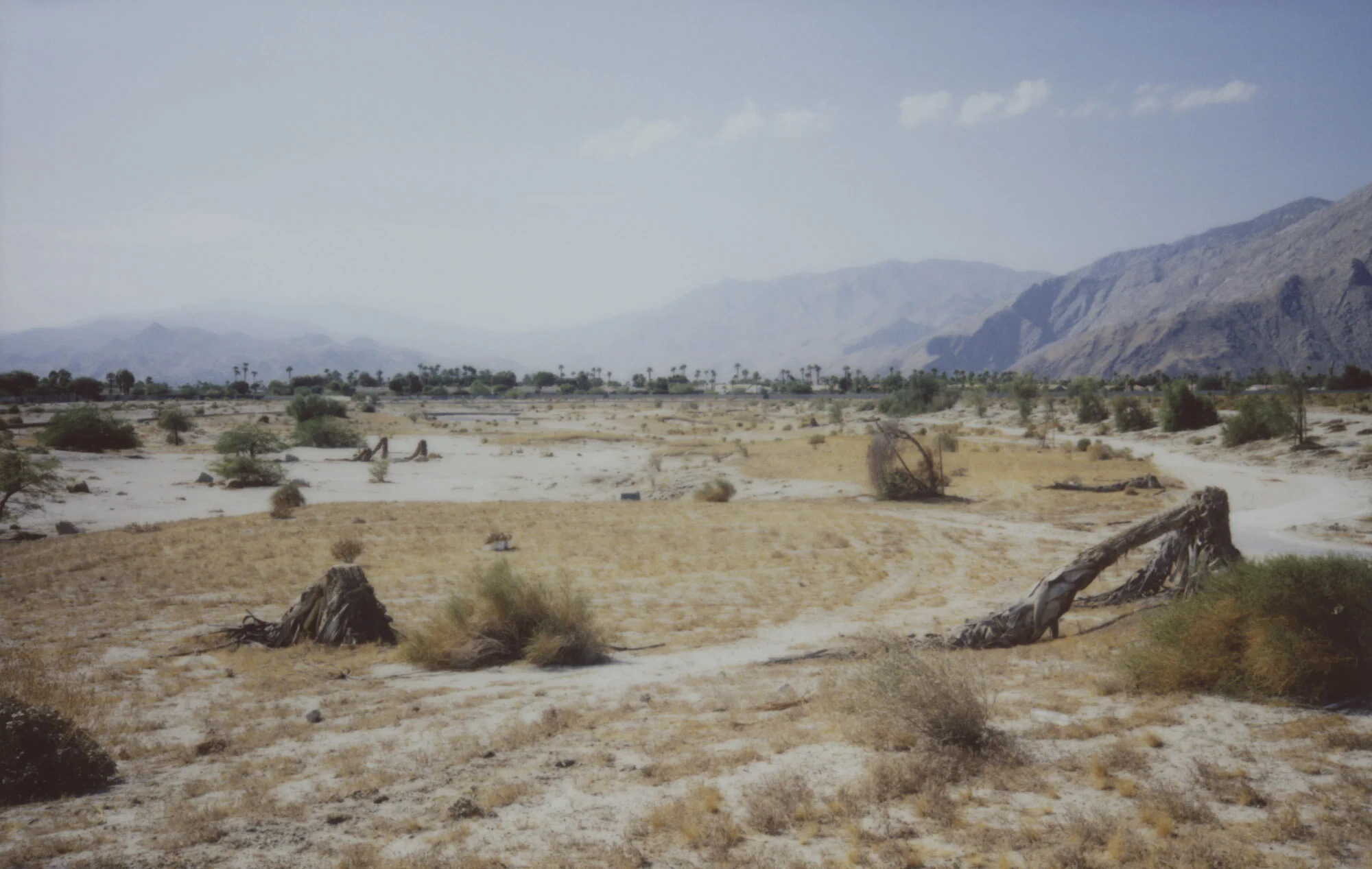 Excerpt from Riviera by John Brian King — Spurl Editions