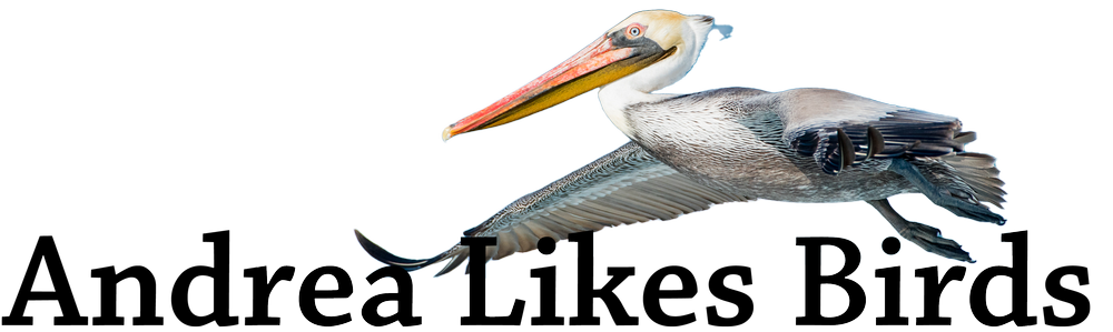 How We Sleep In Our Subaru Crosstrek — Andrea Likes Birds