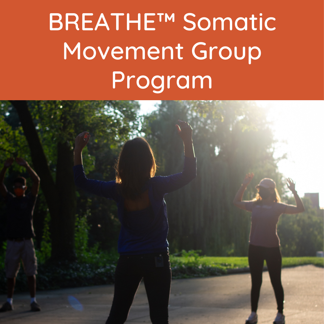 Upcoming Group Programs — Rose Model for Healthy Relationships