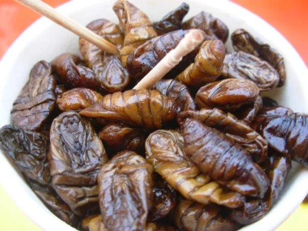 Beondegi: An Unusual South Korean Snack