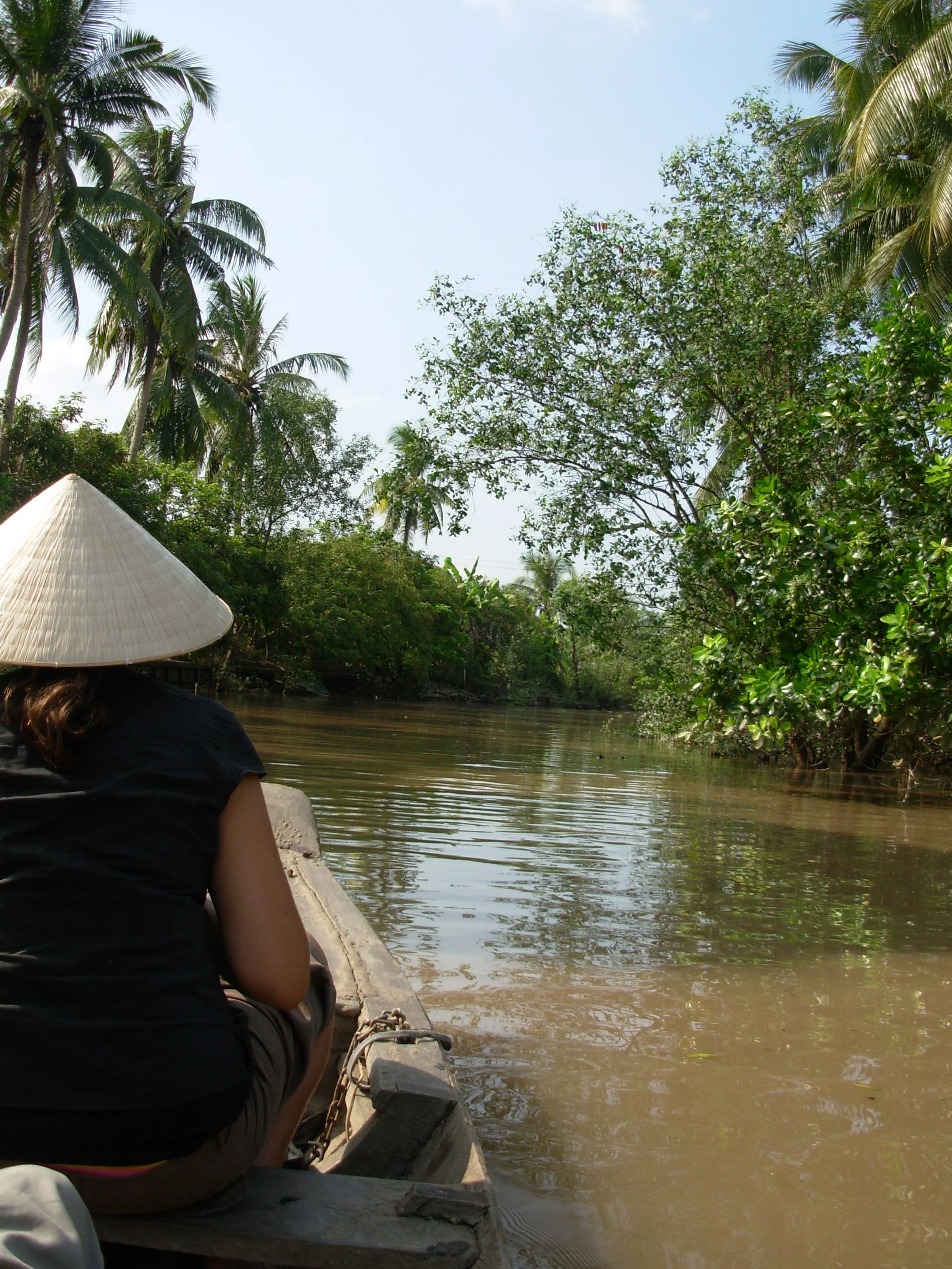 A Tour of the Mekong Delta