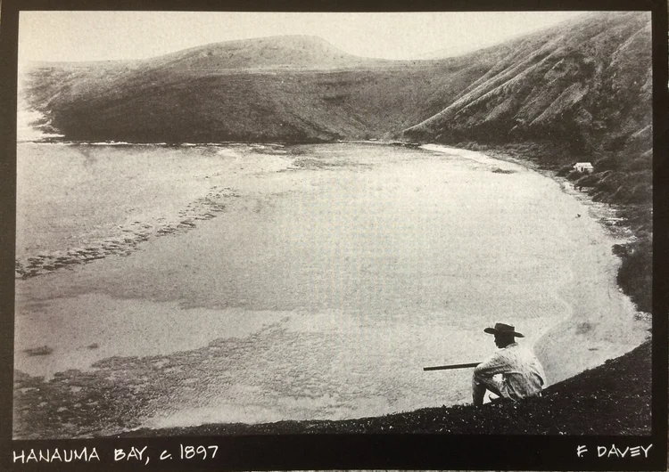 (Re)Visiting Hanauma Bay