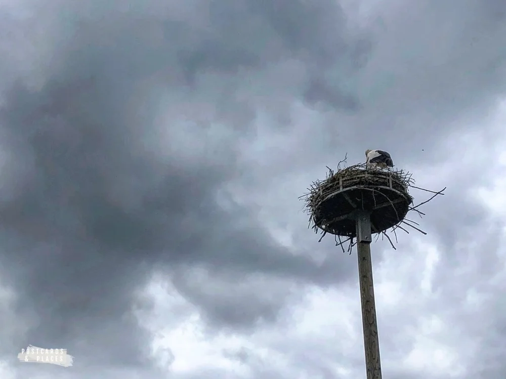 What to See and Do in Munster, France