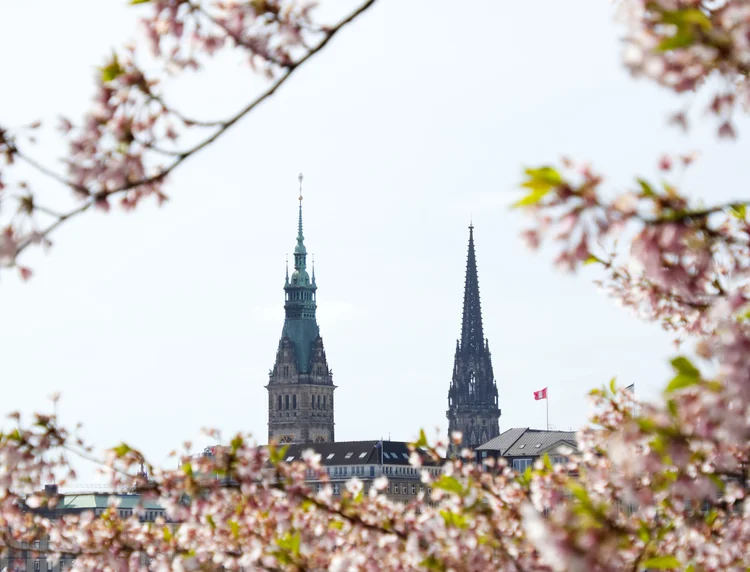 Spring in Europe: Beautiful Cities with Blossoming Trees