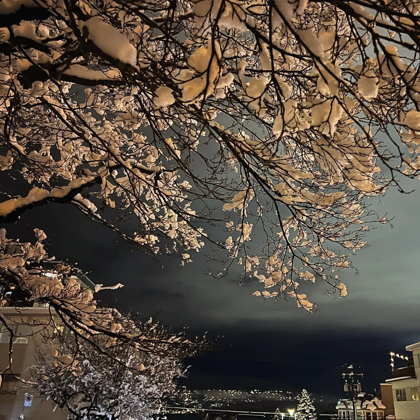 Do the Liancourt Rocks Belong to Korea or Japan?