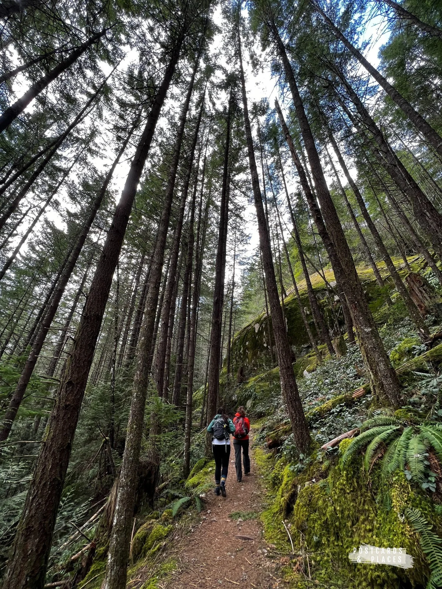 Tantalus View Lookout Trail at Brohm Lake, Squamish