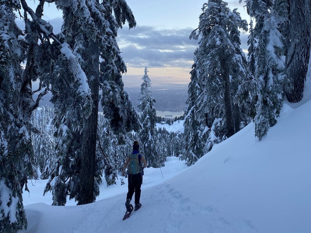 Cherry Blossoms and Beyond: Your Guide to Spring Activities in ...