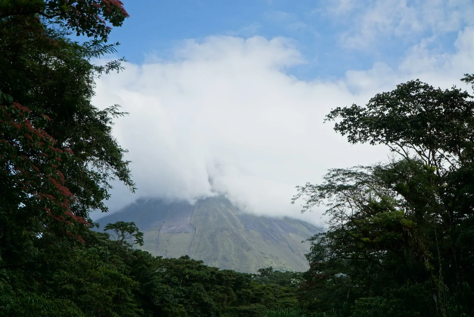 Pure Costa Rica: An Ideal 14-Day Itinerary—Without a Car!