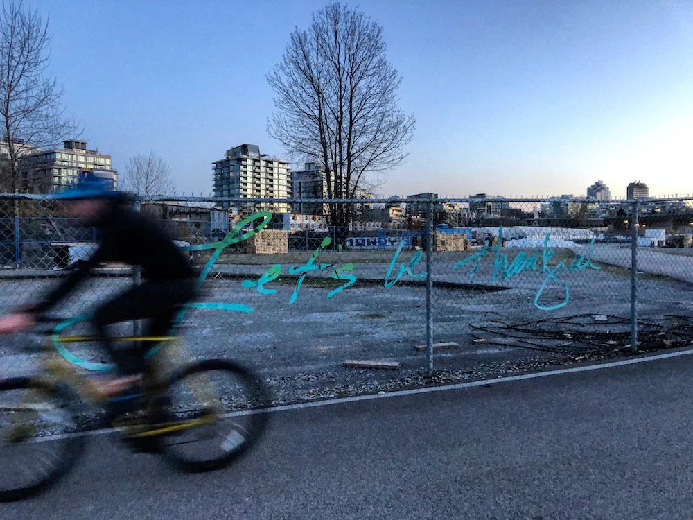 Cherry Blossoms and Beyond: Your Guide to Spring Activities in ...