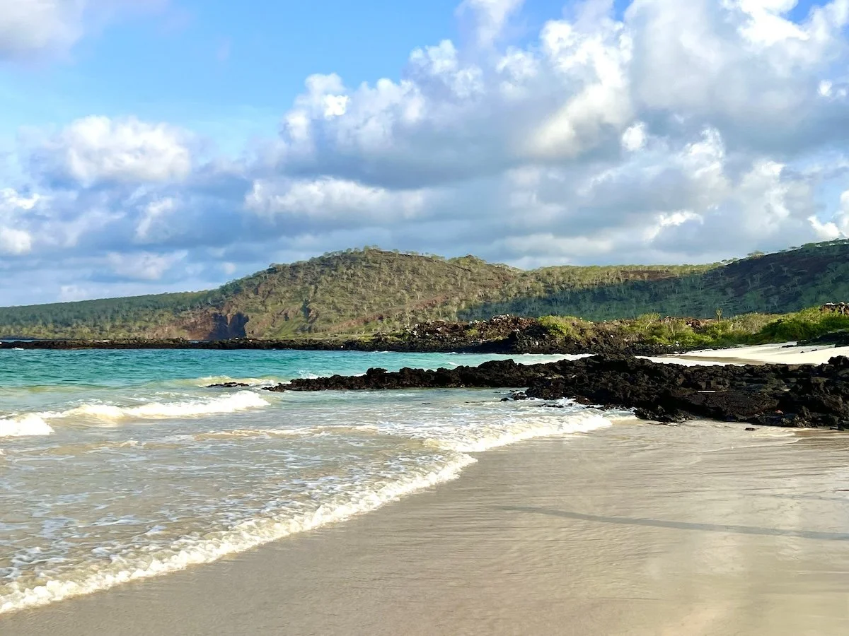 Uncovering the Mystery of Floreana: A Conversation with Author Midge ...