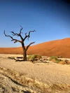 The Best Countries in Africa for First-Timers to the Continent