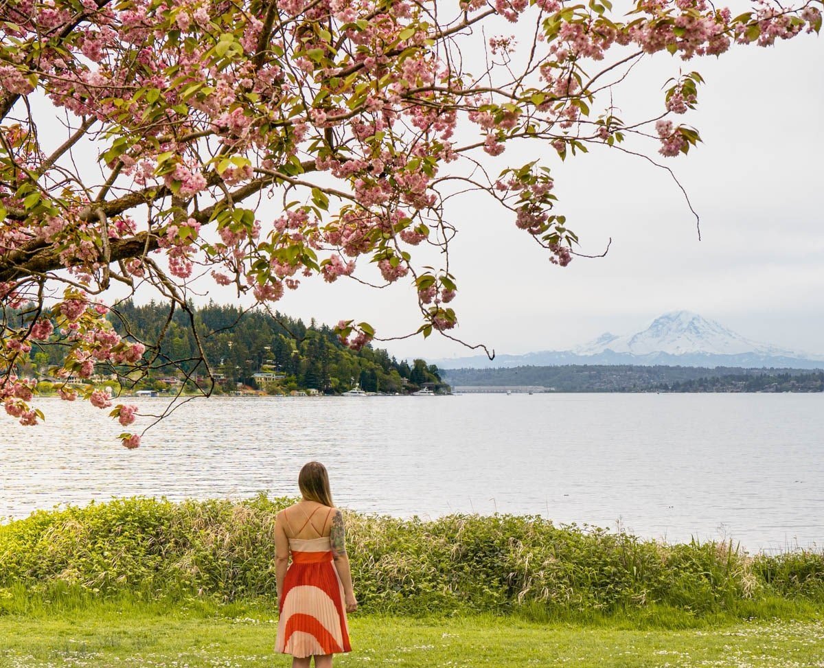 Blooming Cities: Top Cherry Blossom Destinations in North America