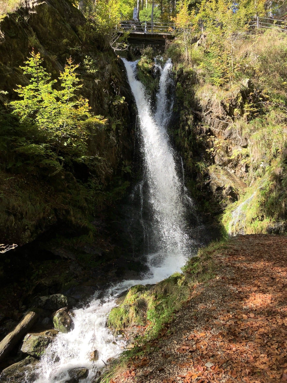 Fall Colours in the Black Forest, Germany
