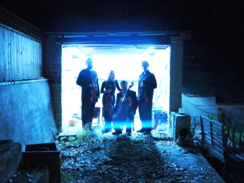 Portfolio — Cassia Streb