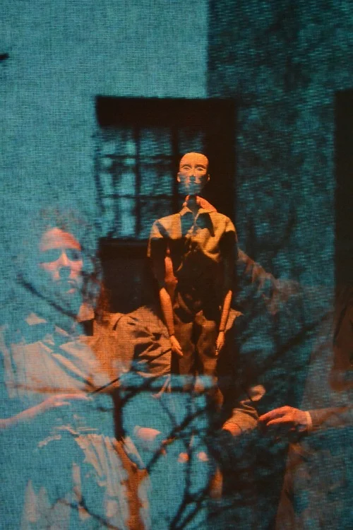 Portfolio — Cassia Streb