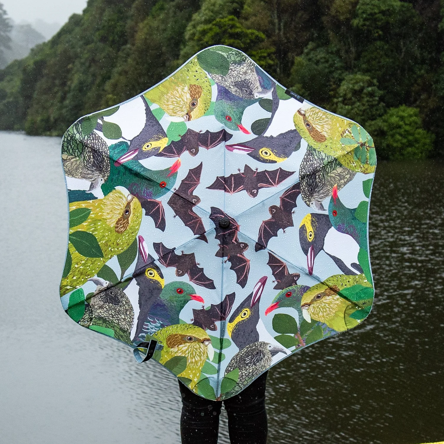 Blunt x Forest & Bird umbrella canopy illustrated by Melissa Boardman ...