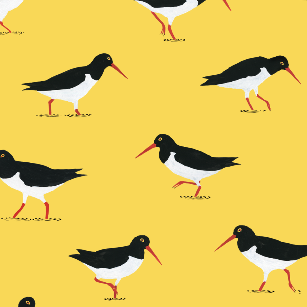 Illustrated Seabird patterns — Melissa Boardman