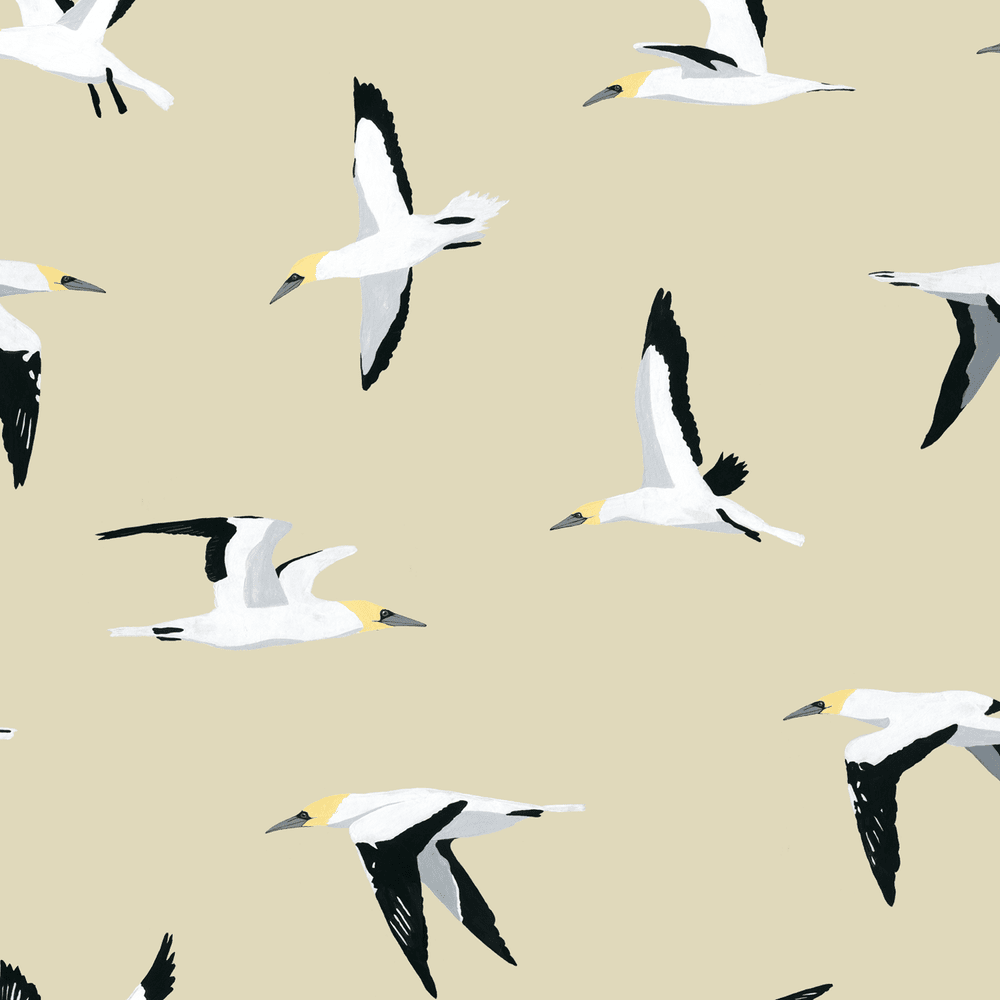 Flying Bird Patterns — Melissa Boardman