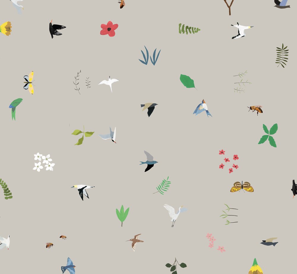Illustrated patterns — Melissa Boardman