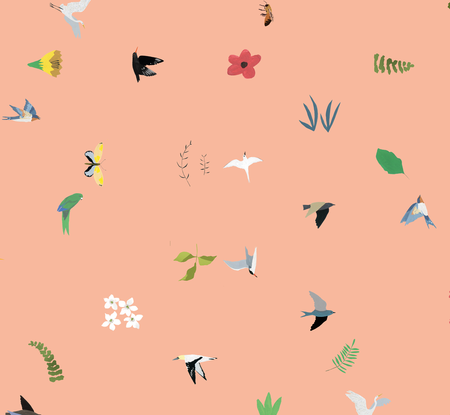 Illustrated patterns — Melissa Boardman